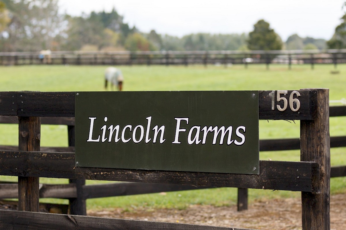 Gallery • Lincoln Farms