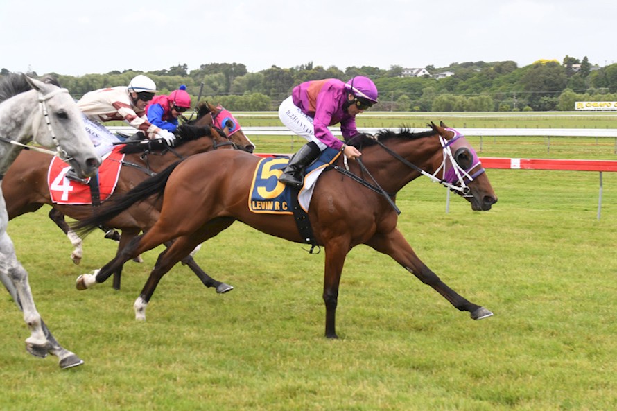 Lincoln Fury RACING IN AUSTRALIA (Leased)