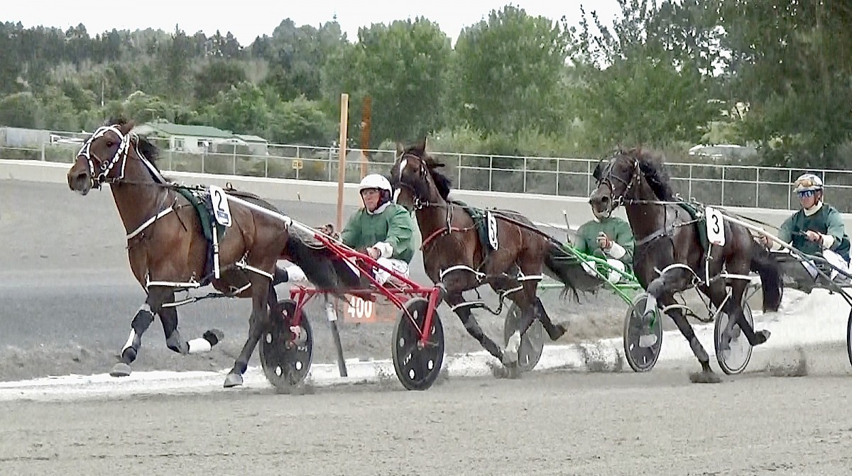 Sir Tiger’s a real racehorse and he’s ready to roar on Friday • Lincoln ...