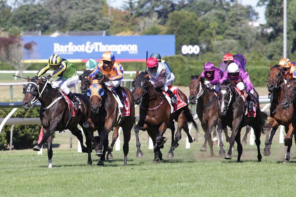 Australian derby options for Platinum Invador after massive come-from ...