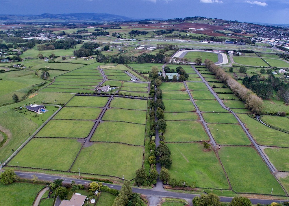 Too much good grass at Lincoln Farms? - Blood tests before Ray lets The ...