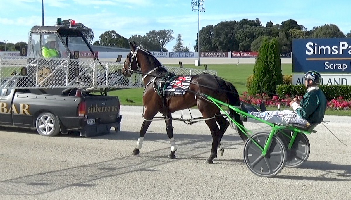 He’s no Sir Lincoln but Sir Tiger will pounce from the pole and track ...