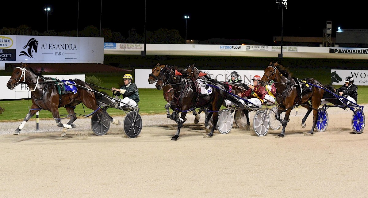 Rejuvenated The Bull Pen can lead the charge over Merv’s stablemates at ...