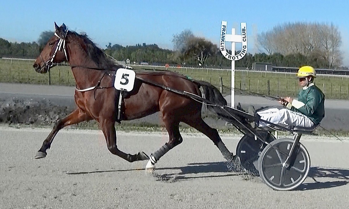 Ace Commander leading the charge for Merv and Meg at Auckland on Friday ...