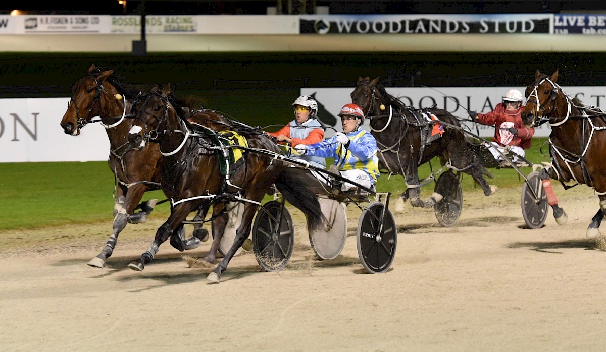 Ray has Perfect Stride perfectly primed for the Breeders Crown - but he ...