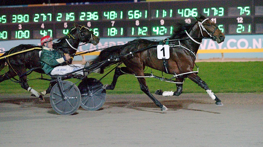 Tiger’s earned his stripes and he’s ready to pounce again at Cambridge ...