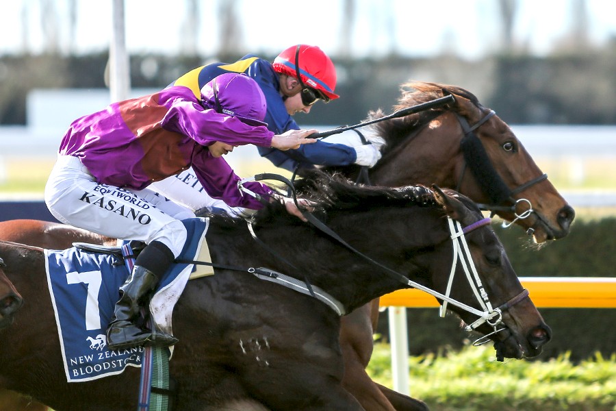 Look out, here comes Kozzi on the Rapper! And he rode the mare to ...