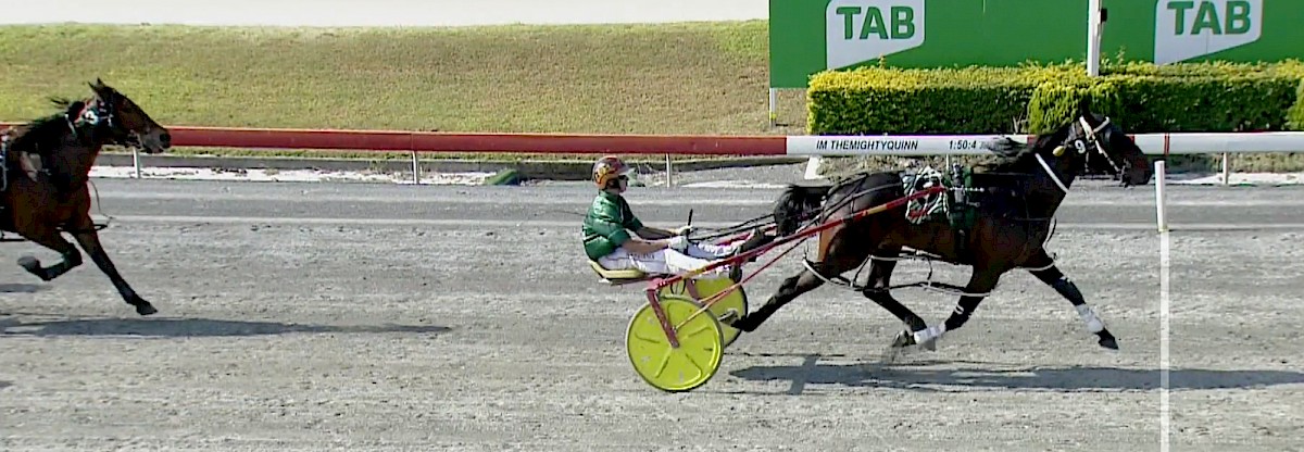 Sir Tiger plays with his rivals first-up and looks set to claim Pot Of ...