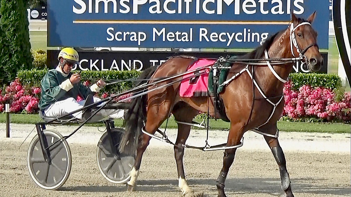 Classie Reactor (Exported to Australia)