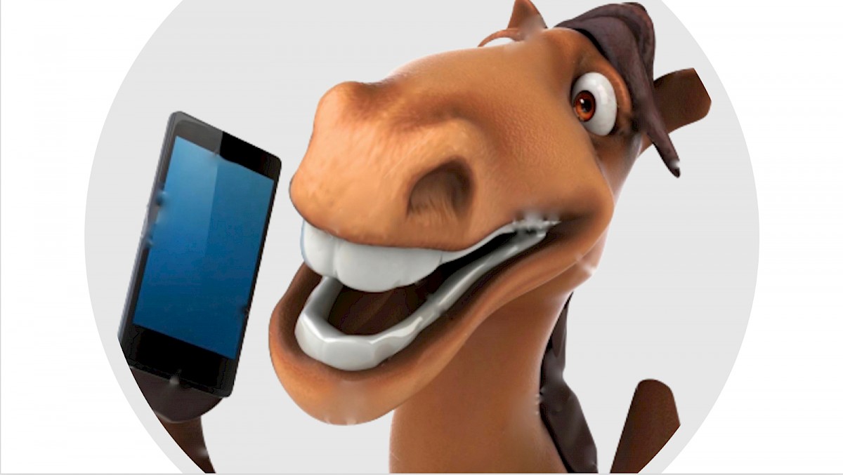 You’ll have to ask ornery Sir Tiger how he’s going to go on Friday ...