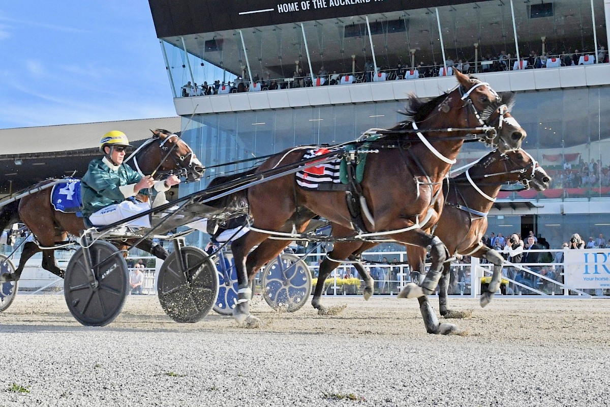 Harness racing set to use only four venues after we come out of ...