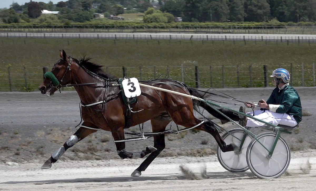 Simply Sam • Lincoln Farms