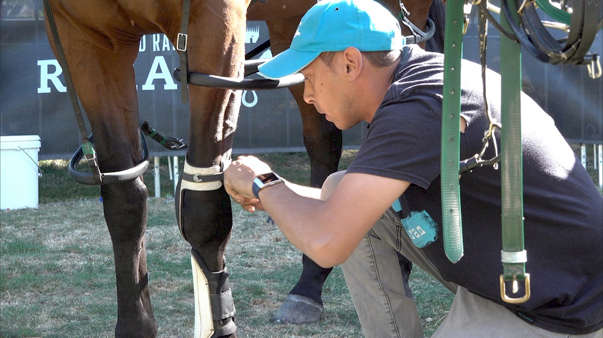 Jay: Horsemen adamant we need revised handicapping system for the north ...