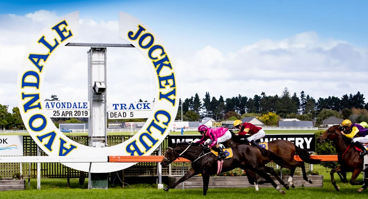 They’ve taken our dates but they’re not getting our land - Avondale ...