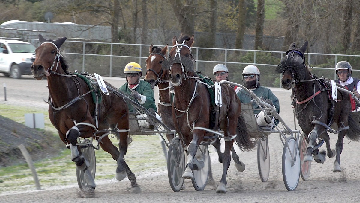 Ray predicting there’s plenty of fun ahead for Lincoln Farms’ owners ...