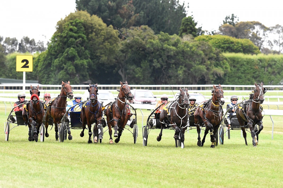 Harness racing in the CD and Dunedin given a reprieve and Avondale gets ...