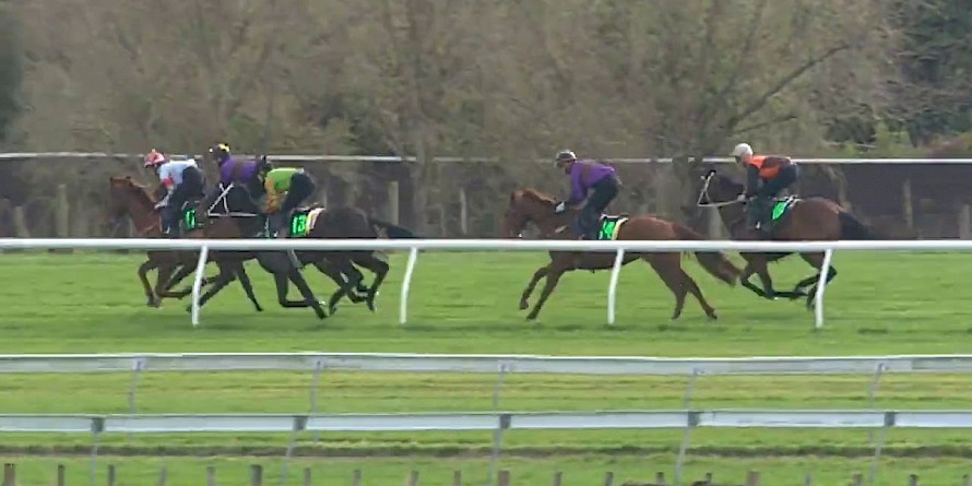 Gallops • Lincoln Farms