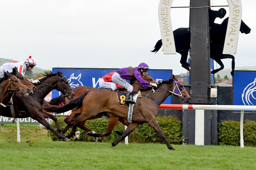 Princess Amelie faces tough field at Hastings but she’s a proven fresh ...