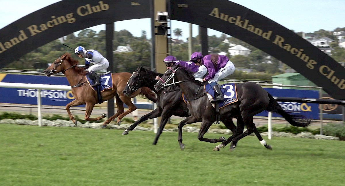 $100,000 average stakes and a new track flagged in merger of Auckland ...