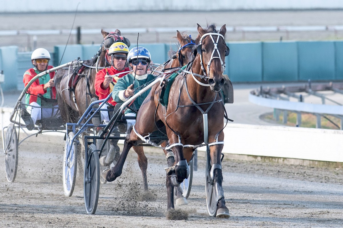 Emotional success with Brian Christopher as Streets top 500 harness ...