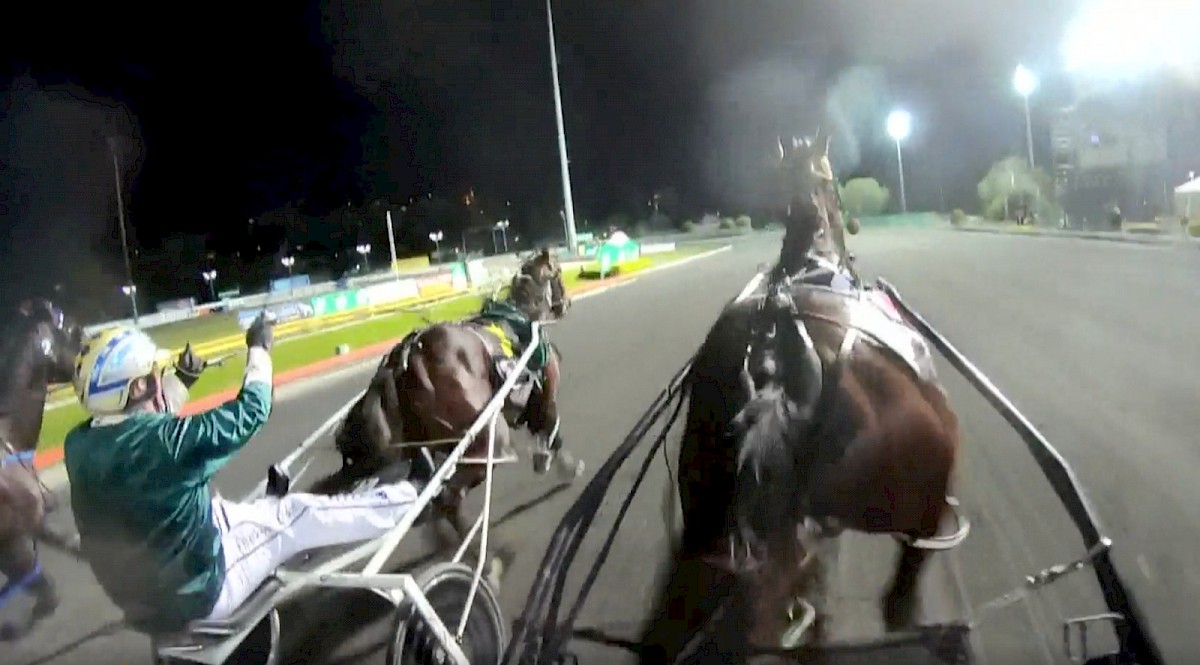 Bring on the Queensland Derby and Krug, says Ray, as Dealer shows his ...