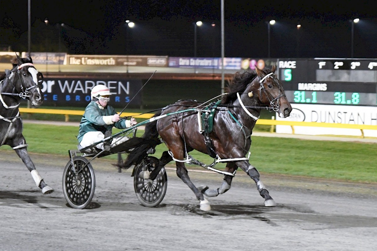 Colonel Lincoln • Lincoln Farms