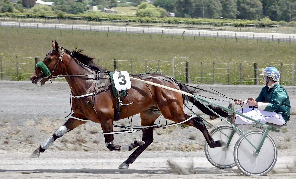 It’s simple, Sam’s the man for Auckland on Friday night, bad draw and ...