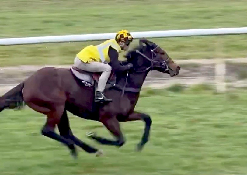 Lincoln Grace (Died)