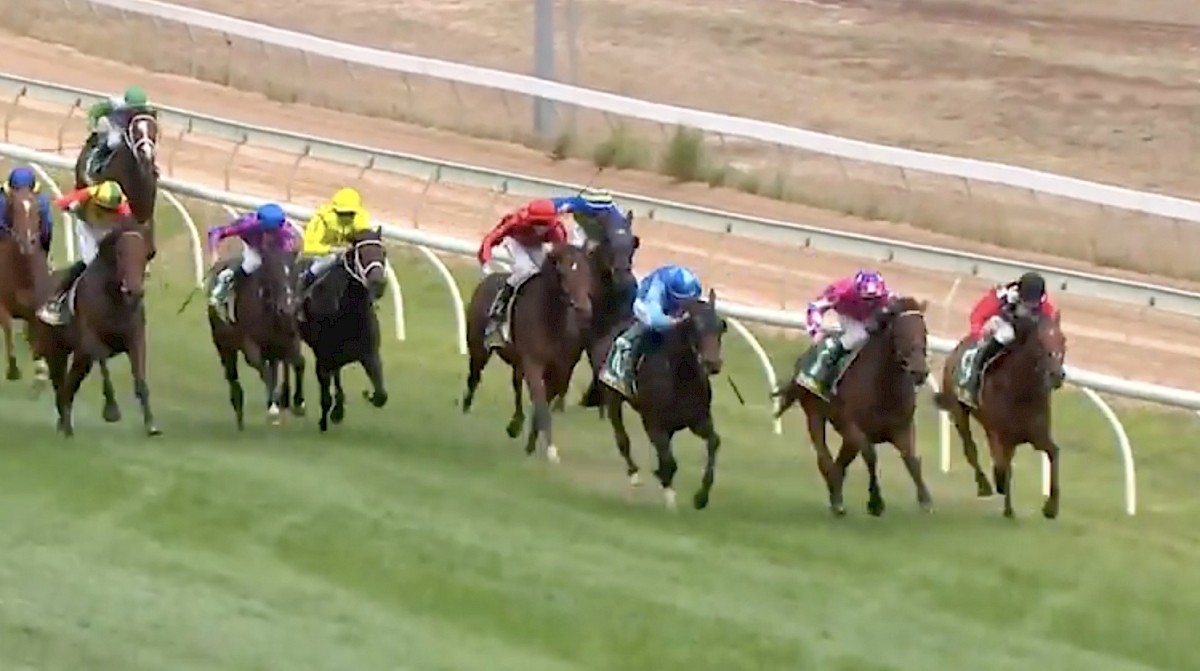 Will it be third time lucky for plucky Platinum Spirit when he steps ...