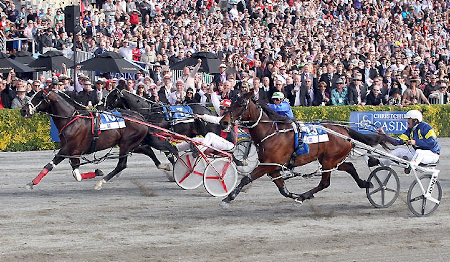 HRNZ bombshell: Top five standing start races to become handicaps to ...