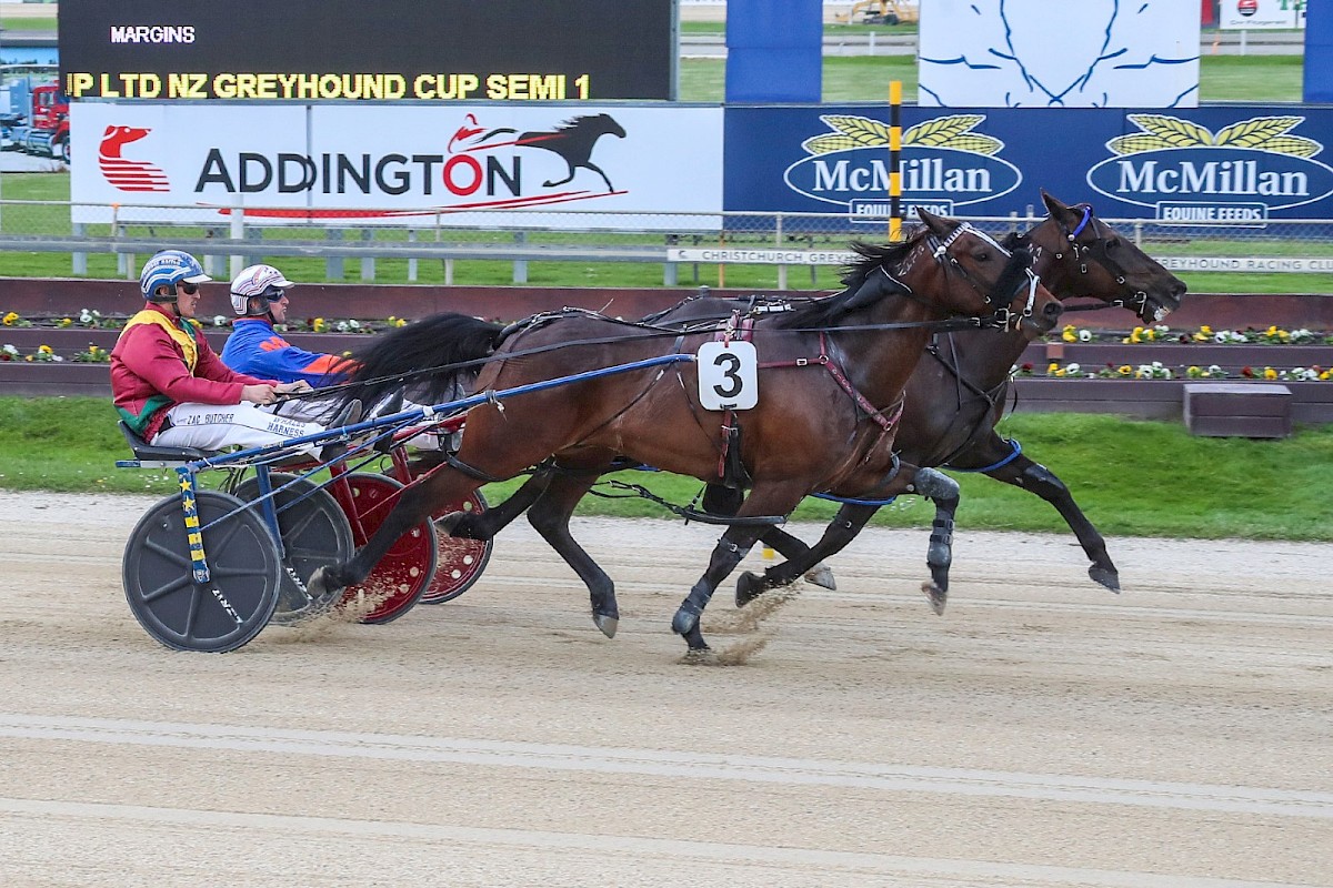 New Zealand Trotting Cup day odds for Tuesday: Follow the money trail ...