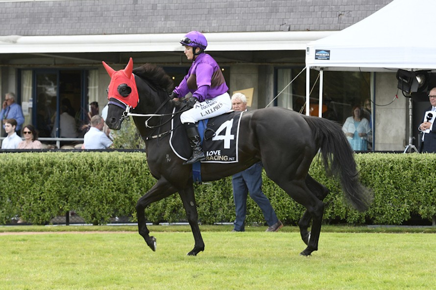 Kruz needs to be more cruisy but weight and short trip should see him ...