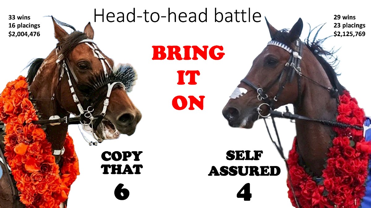 Auckland Cup shapes up as a Copy That v Self Assured showdown - we see ... Auckland Cup shapes up as a Copy That v Self Assured showdown - we see ...