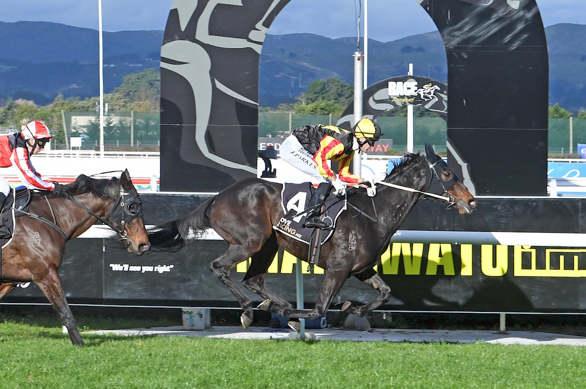 Track gallop with winner strong pointer that Hawk can fly again at ...