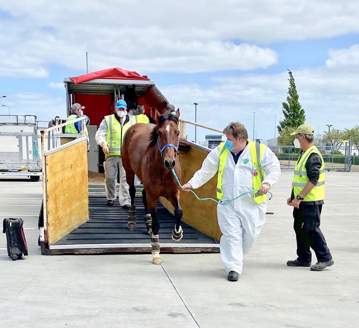 Ballarat is a long way to go for a scan but no expense being spared ...