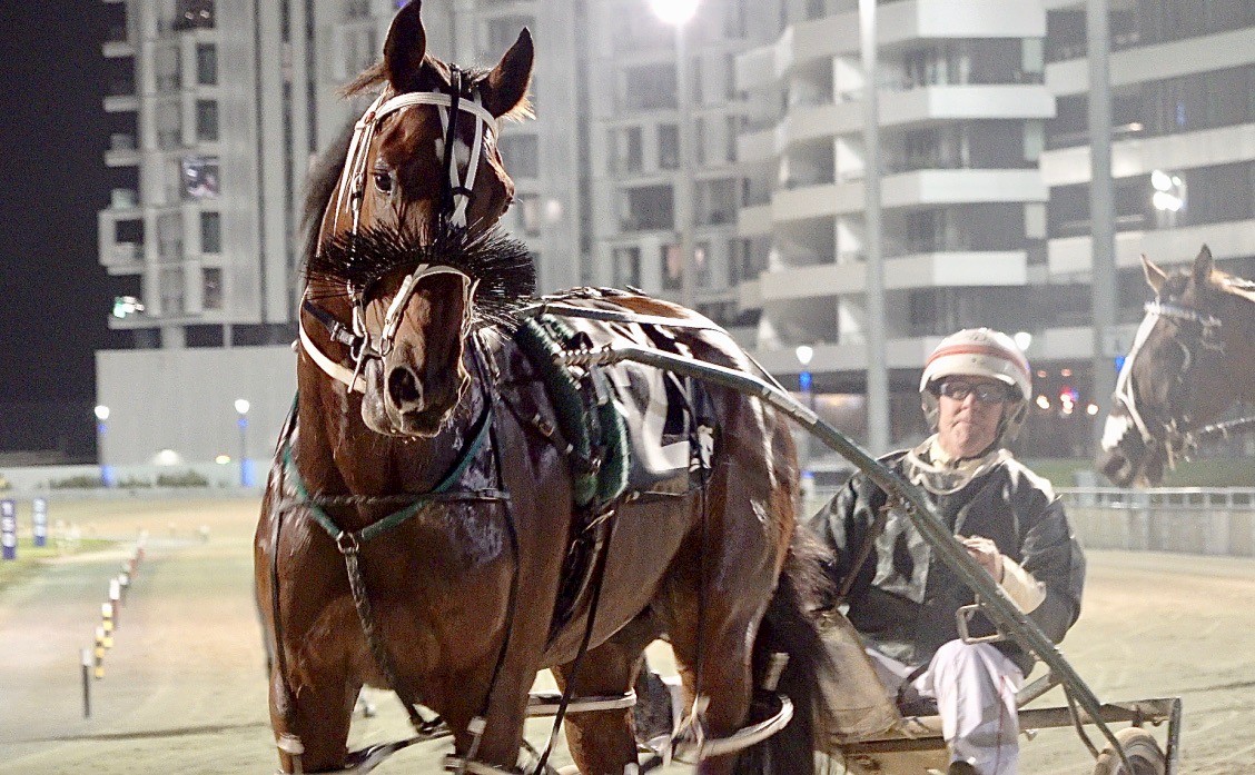 Sugar Ray can deliver knockout blow from the ace in opening Young Guns ...