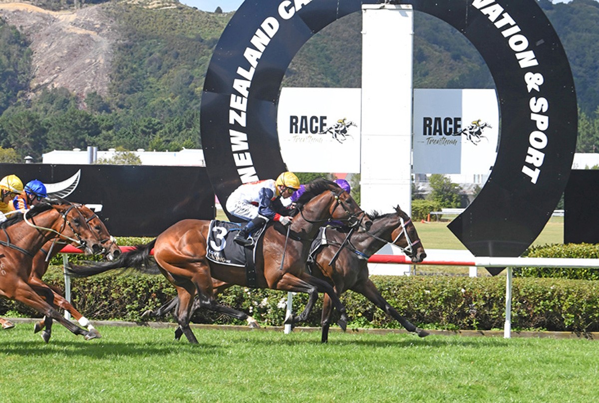 Promising pair extend picket fence form lines but soon to go into ...