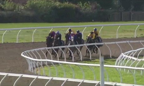 Gallops • Lincoln Farms