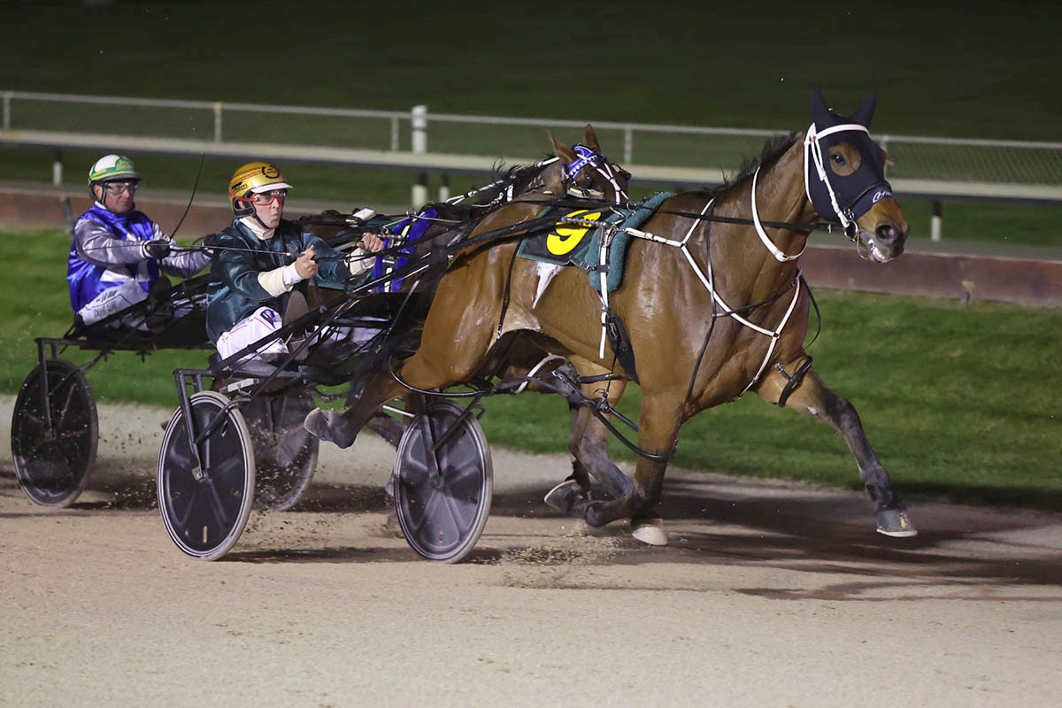 The Big Lebowski mauls rivals and earns a shot at the Flying Stakes at ...