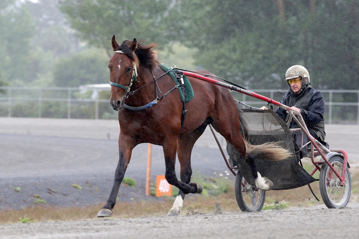 Copy N Paste • Lincoln Farms