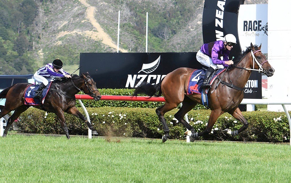 Lisa: Attack’s been practising right-handed and can run a cheeky race ...