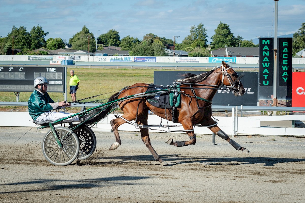 Nate’s trip south to Palmy well worth it as Lincoln La Moose makes it ...
