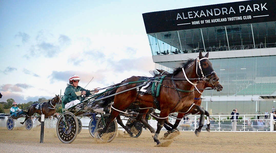 Ray and Debbie both in the money at the Park with speedy ‘Frisky’ and ...