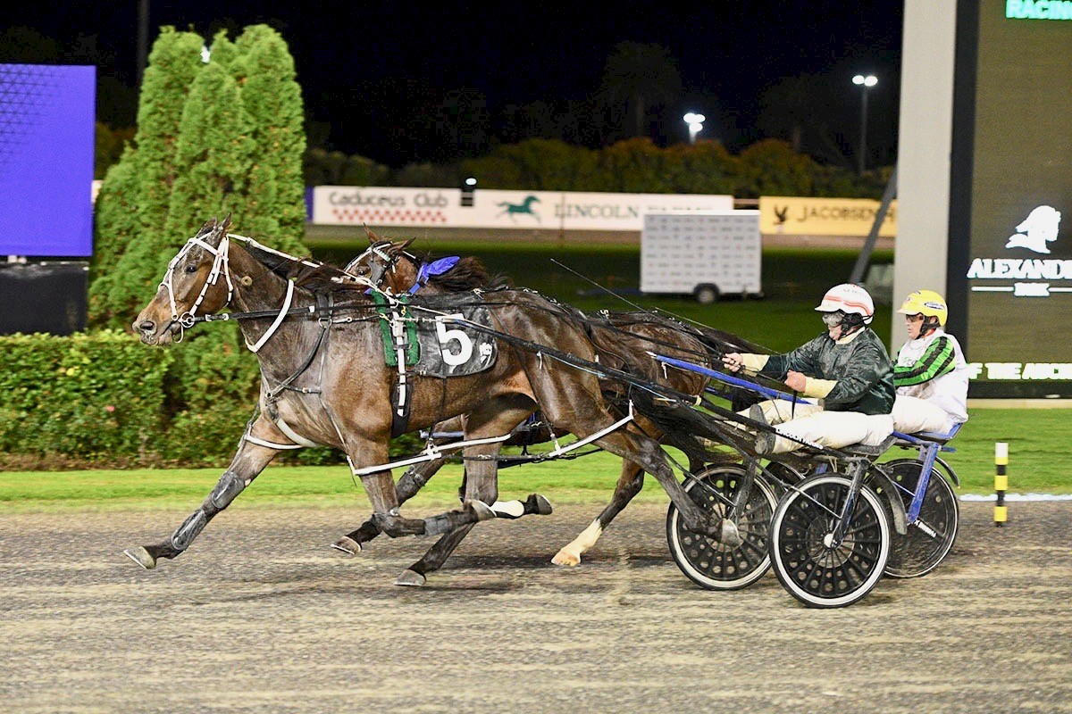 Everybody’s favourite Kevin tops $50,000 - and Ray tips there’s plenty ...