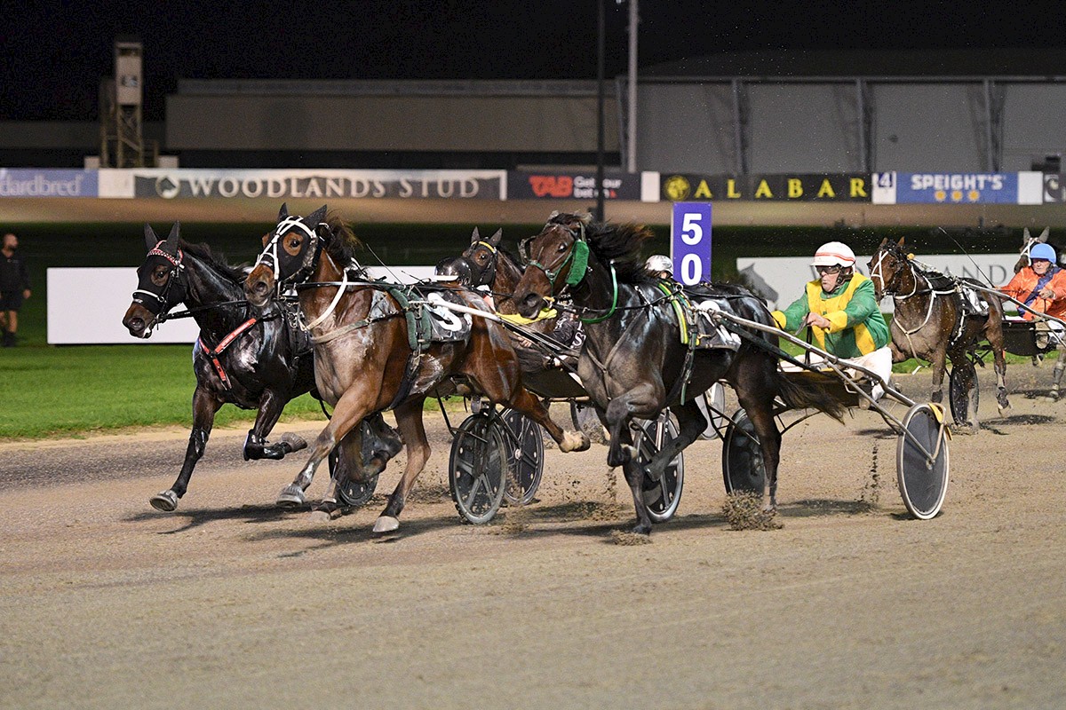 Ray reaches for the half hopples to keep Whats Up The Hill trotting at ...