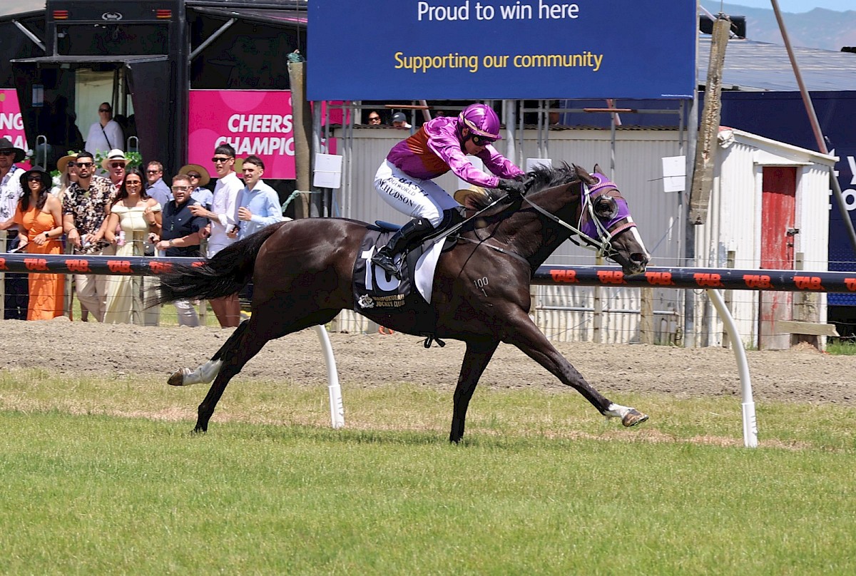 Mereana’s game plan for Platinum Tyche works a treat - but stipes sour ...