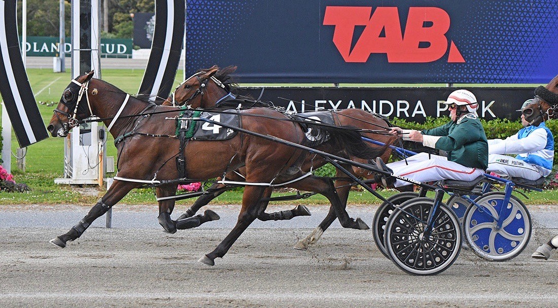 Resilient Lincoln Farms’ three-year-olds Tyson and Kevin Kline doing ...