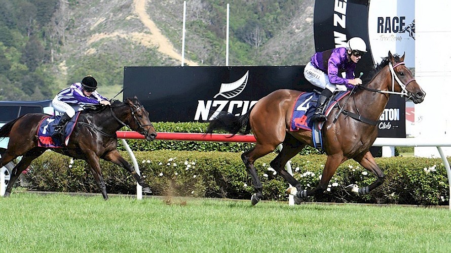 Platinum Attack’s big chance - down in class and back to his favourite ...